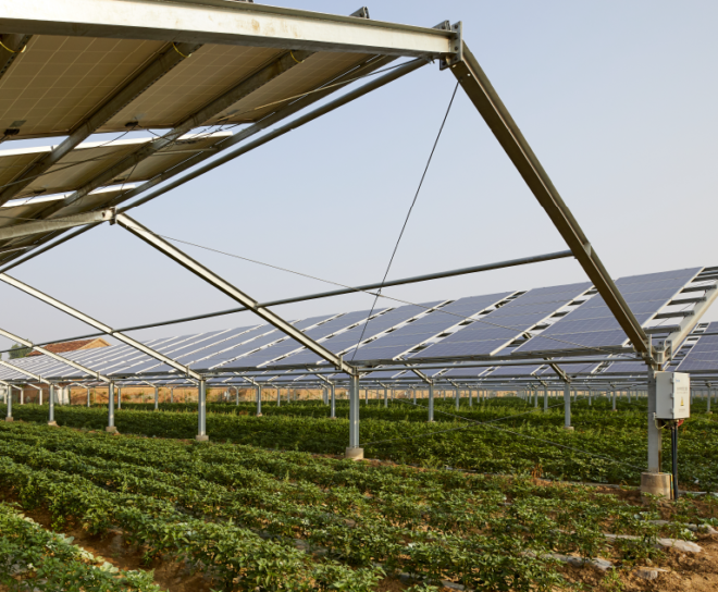 Solar Panels for Agriculture