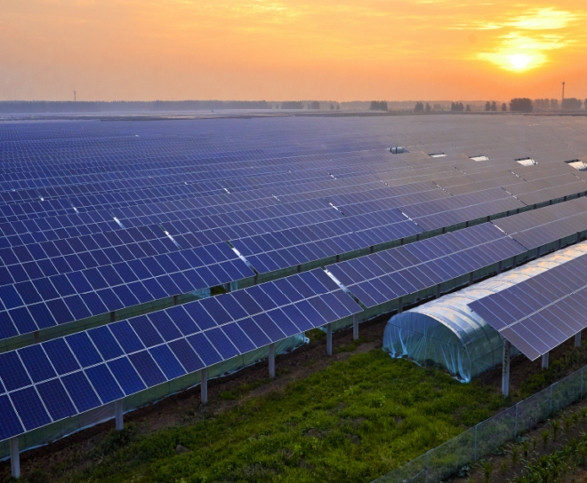 Solar Panels for Agriculture